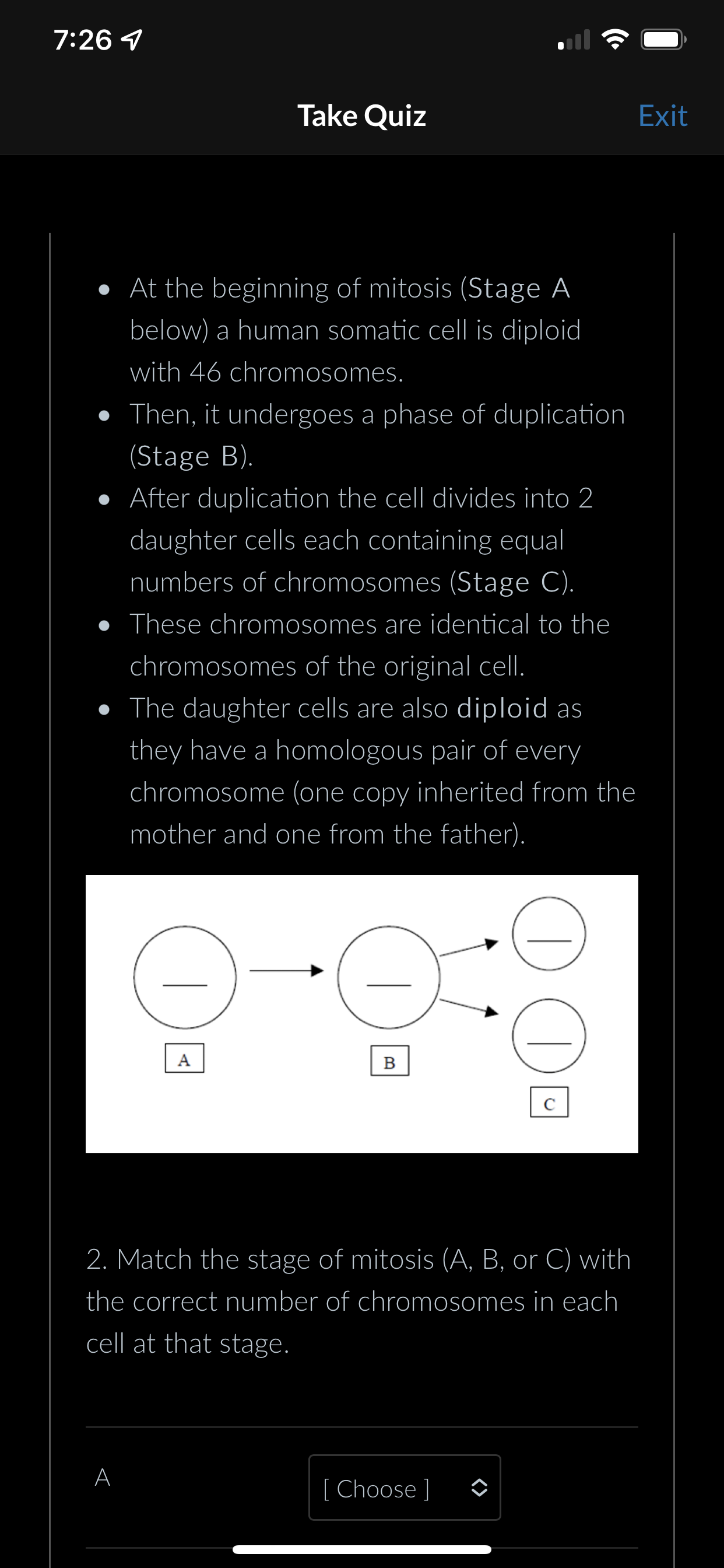 7: 264 Take Quiz Exit - At the beginning of mitosis (Stage A below) a ...