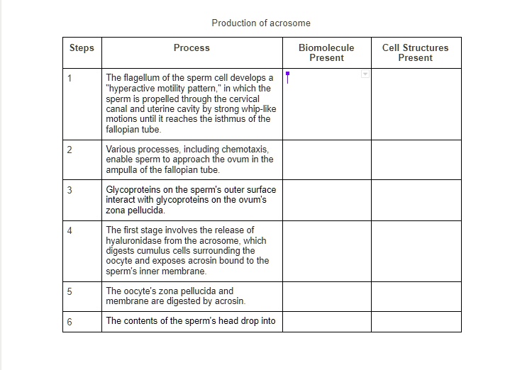 Production of acrosome Steps Process Biomolecule Present Cell ...