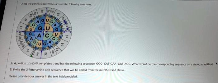 SOLVED: Texts: A. A portion of a DNA template strand has the following sequence: GGC-CAT-GAA-GAT ...