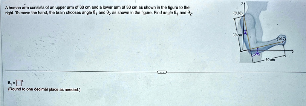 A human arm consists of an upper arm of 30 cm and a lower arm of 30 cm ...