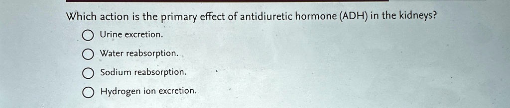 which action is the primary effect of antidiuretic hormone adh in the ...