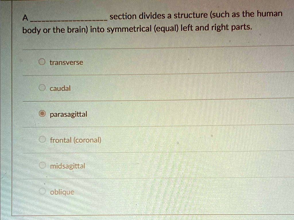 SOLVED: A section divides a structure (such as the human body or the ...