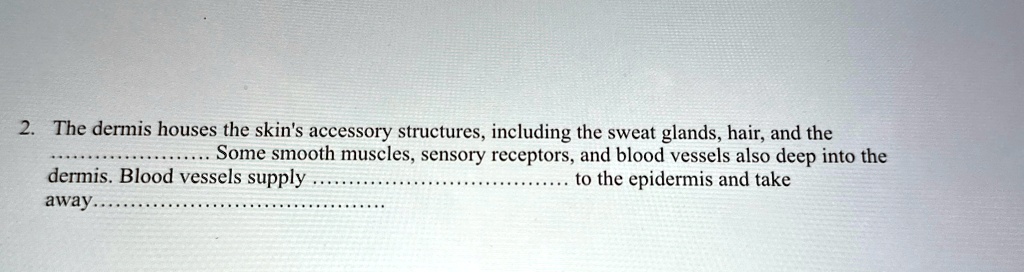 2. The dermis houses the skin's accessory structures, including the ...
