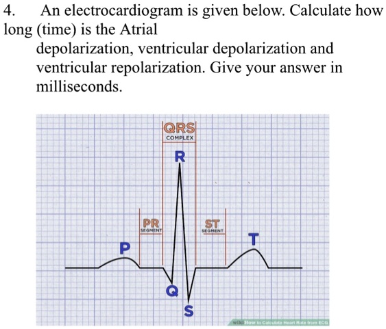 SOLVED: An electrocardiogram is given below. Calculate how long (time ...