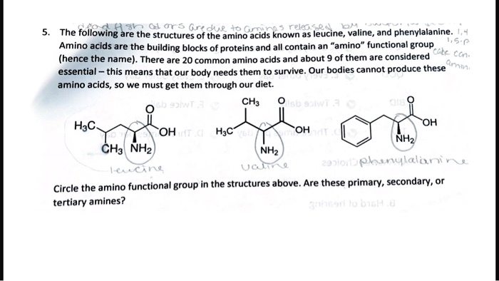 onr 6rdu the following are the structures of the amino acids known as ...
