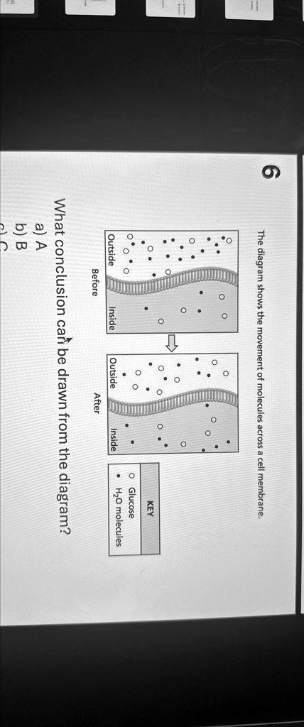 6 The diagram shows the movement of molecules across a cell membrane ...