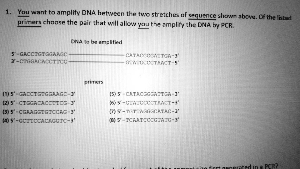 you want to amplify dna between the two stretches of sequence shown ...