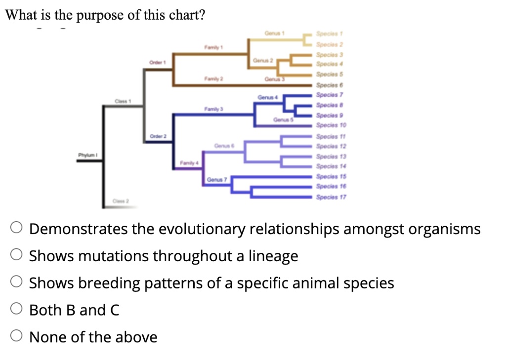 what is the purpose of this chart demonstrates the evolutionary ...