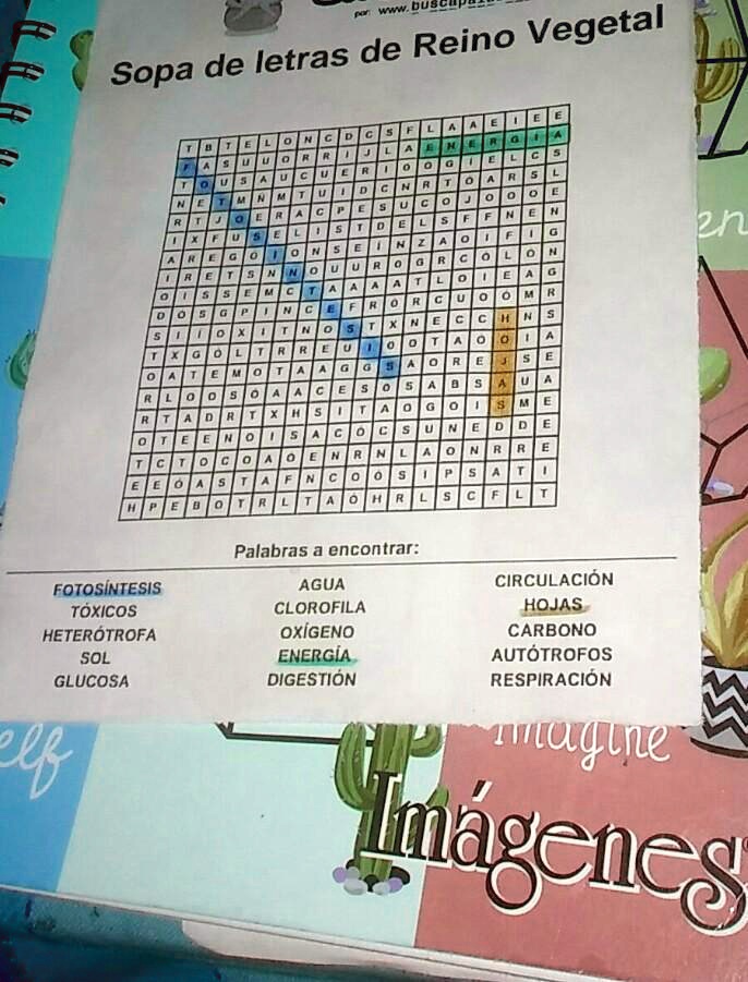 SOLVED: ayuda tengo que encontrar todas las palabras el que me responda ...