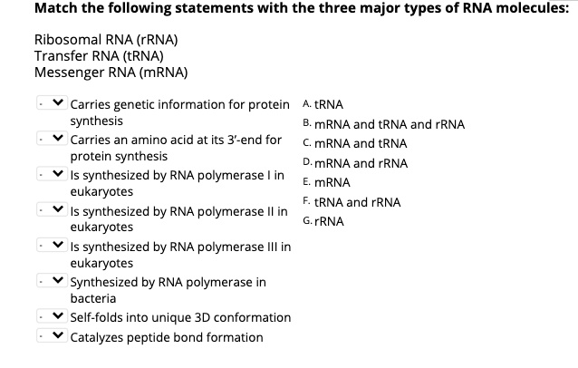 SOLVED: Match the following statements with the three major types of ...