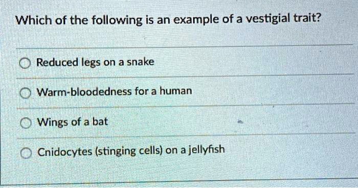 which of the following is an example of a vestigial trait reduced legs ...