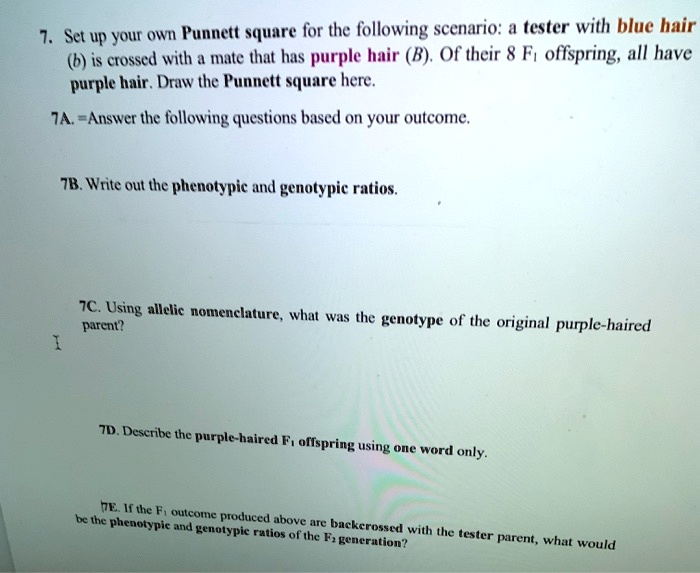 SOLVED: Set up your own Funnett square for the following scenario: a ...