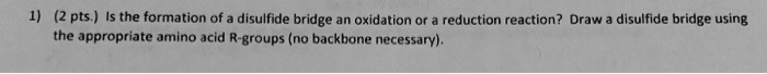 SOLVED: (2 pts ) Is the formation of disulfide bridge an oxidation r ...