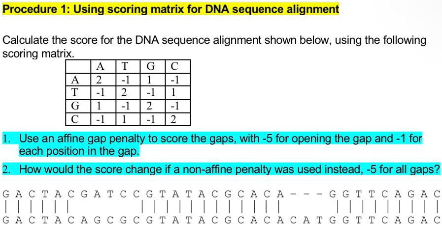 Solved Procedure 1 Using Scoring Matrix For Dna Sequence Alignment Calculate The Score For The 0716