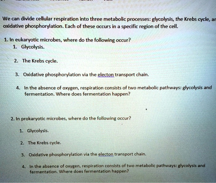 We can divide cellular respiration into three metabolic processes ...