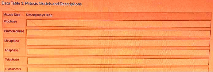 data table 1 mitosis models and descriptions mitosis step description ...