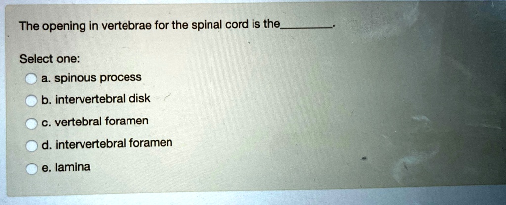 The opening in vertebrae for the spinal cord is the Select one: a ...
