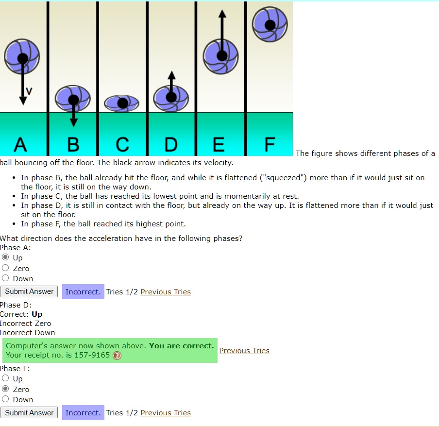 SOLVED:A B D E F The figure shows different phases of a ball bouncing ...