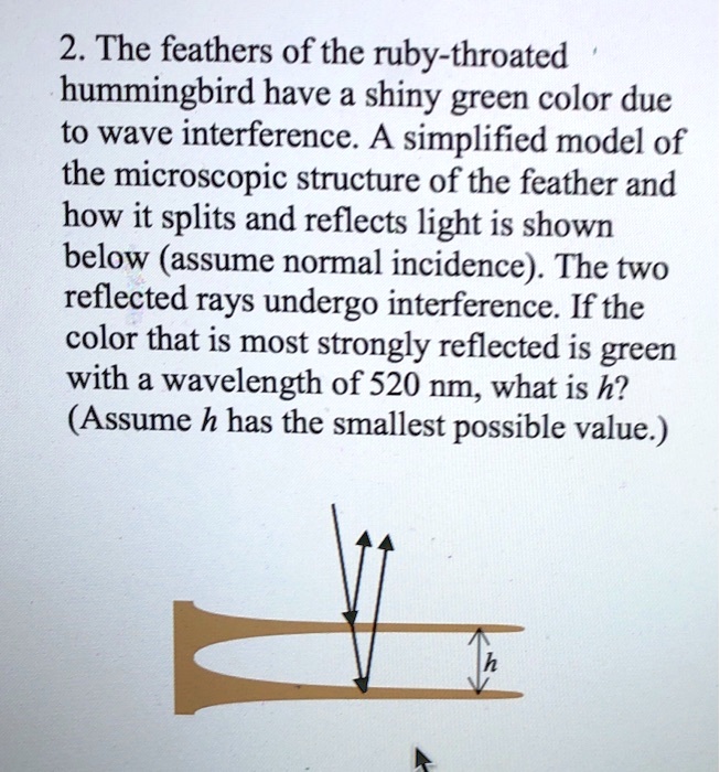 [GET ANSWER] 2. The feathers of the ruby-throated hummingbird have a ...