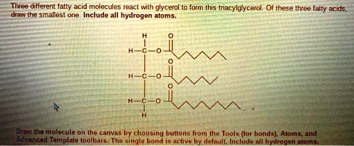 SOLVED: Three different fatty acid molecules react with glycerol to ...