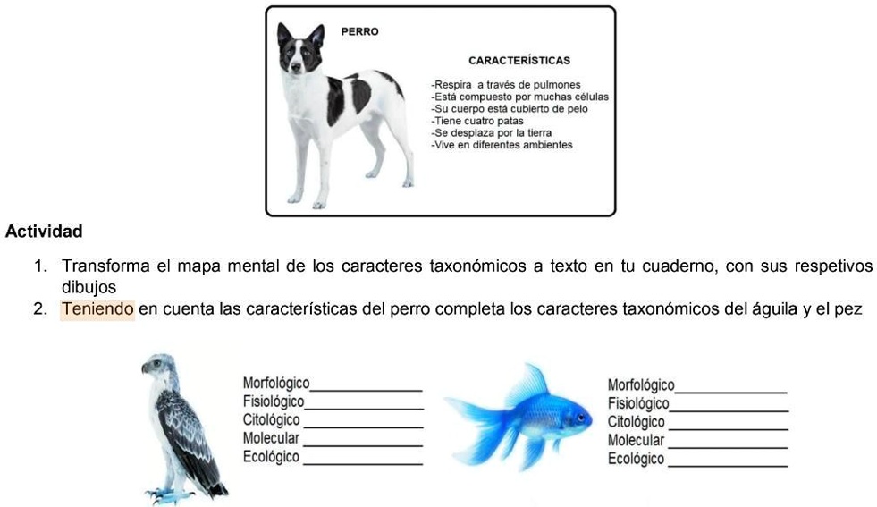 SOLVED: teniendo en cuenta las características del perro complete los caracteres taxonomicos del ...