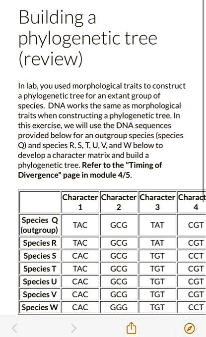 SOLVED:Building a phylogenetic tree (review) In lab, you used ...
