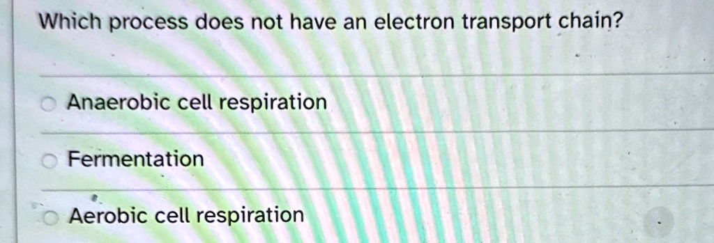 Which process does not have an electron transport chain? • Anaerobic ...