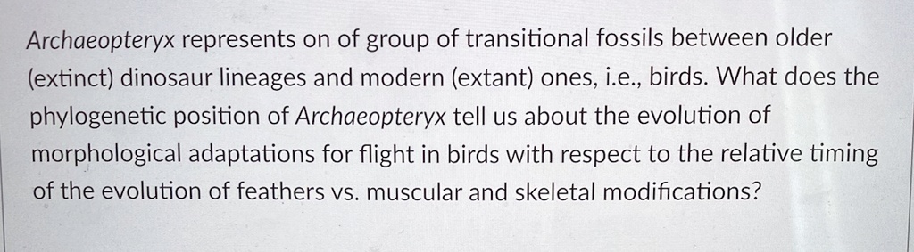archaeopteryx represents on of group of transitional fossils between ...