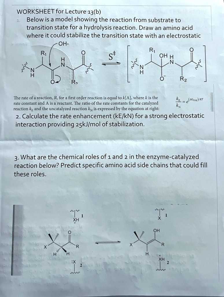 worksheet for lecture 13b 1 below is a model showing the reaction from ...