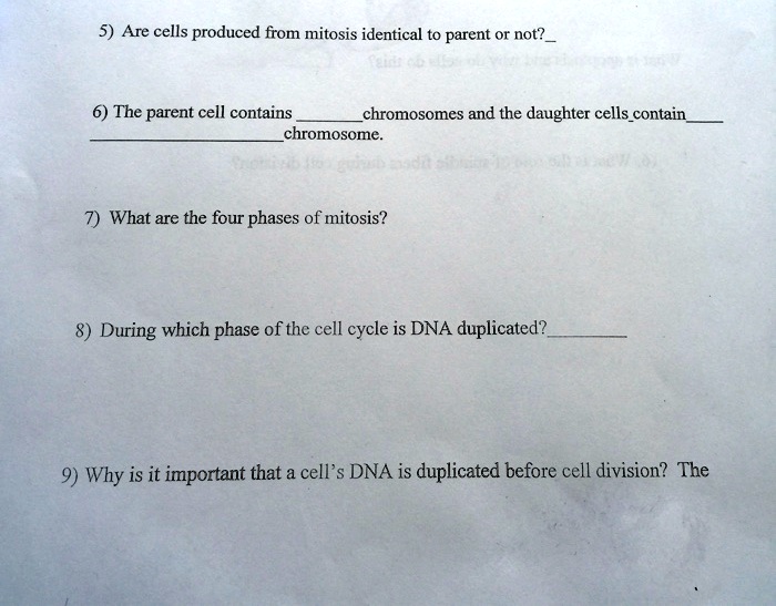 5) Are cells produced from mitosis identical to parent or not? 6) The ...