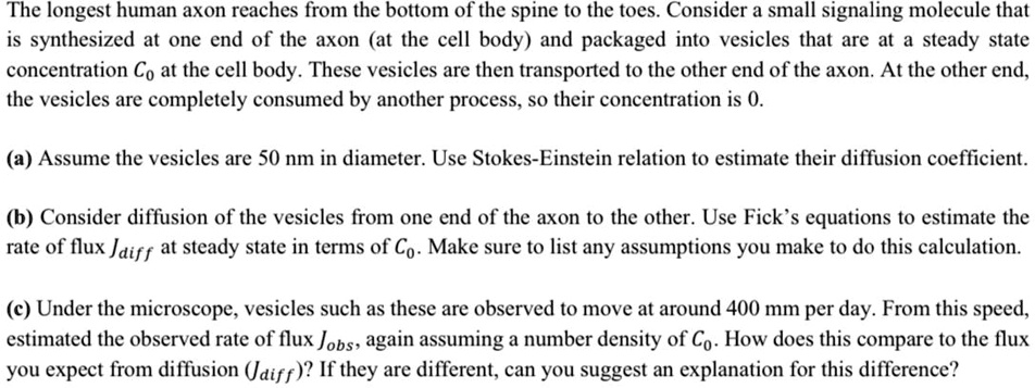 The longest human axon reaches from the bottom of the spine to the toes ...