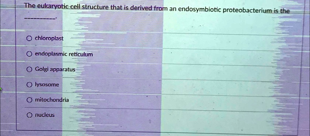 The eukaryotic cell structure that is derived from an endosymbiotic ...
