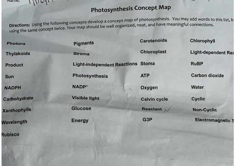 Photosynthesis Concept Map Directions: Using the following concepts ...