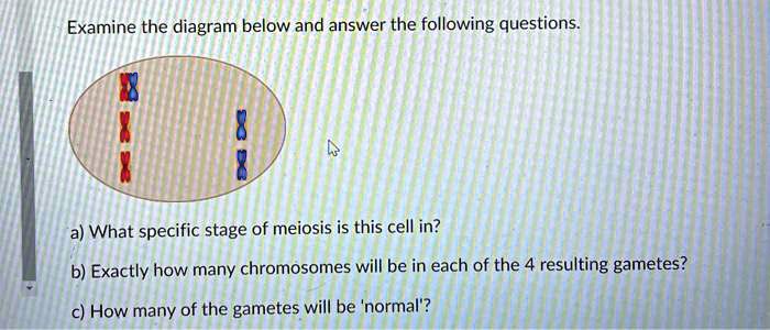 examine the diagram below and answer the following questions a what ...