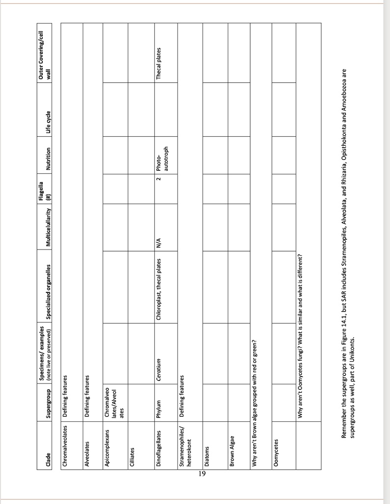 19 Clade Supergroup (note live or preserved) Specimens/examples ...