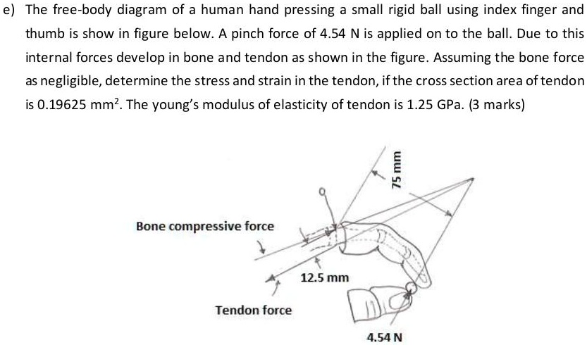 SOLVED: The free-body diagram of a human hand pressing a small rigid ...