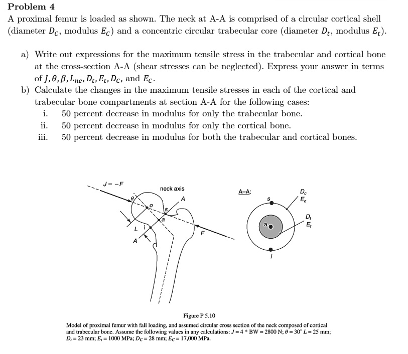 SOLVED: Problem 4 A proximal femur is loaded as shown. The neck at A-A ...