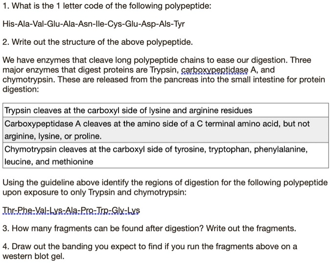 SOLVED: What is the 1-letter code of the following polypeptide: His-Ala ...
