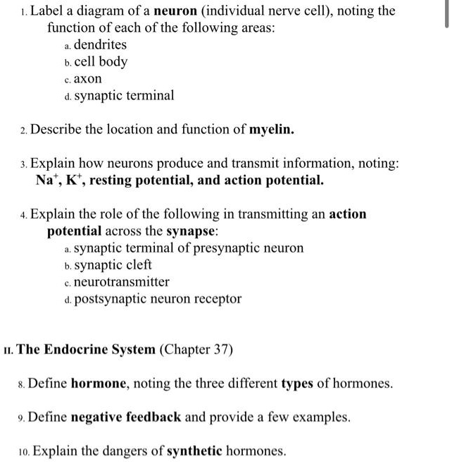SOLVED: 1. Label a diagram of a neuron, an individual nerve cell, noting the function of each of ...