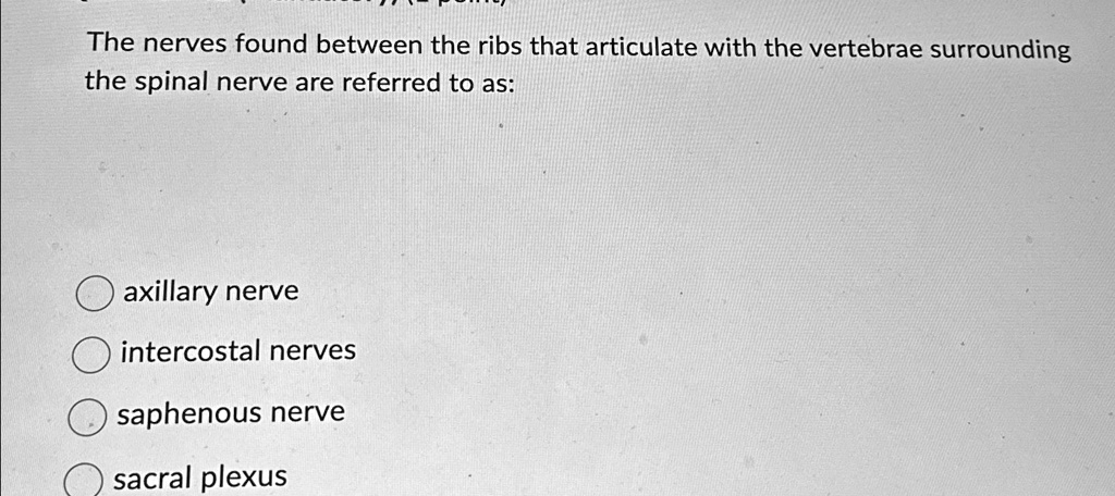 SOLVED: The nerves found between the ribs that articulate with the ...