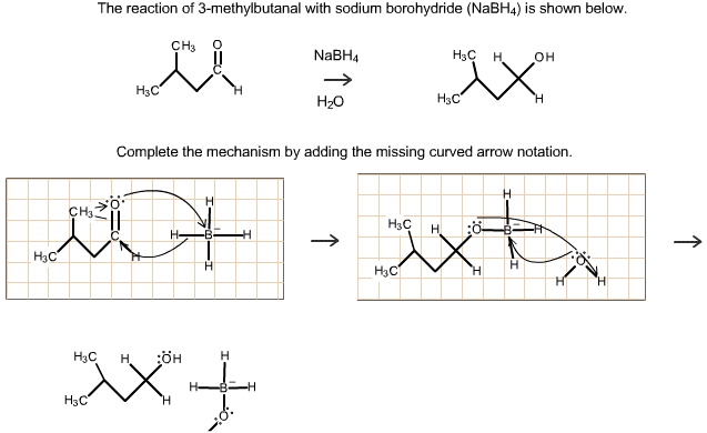 SOLVED: ' The reaction of 3-methylbutanal with sodium borohydride (NaBH4) is shown below ...