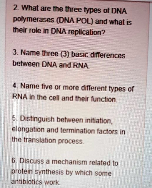 2 what are the three types of dna polymerases dna pol and what is their ...