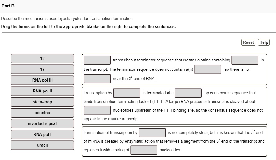 SOLVED: Pant B Describe the mechanisms used by eukaryotes for ...