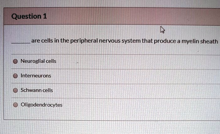SOLVED: Question 1 are cells in the peripheral nervous system that produce a myelin sheath ...