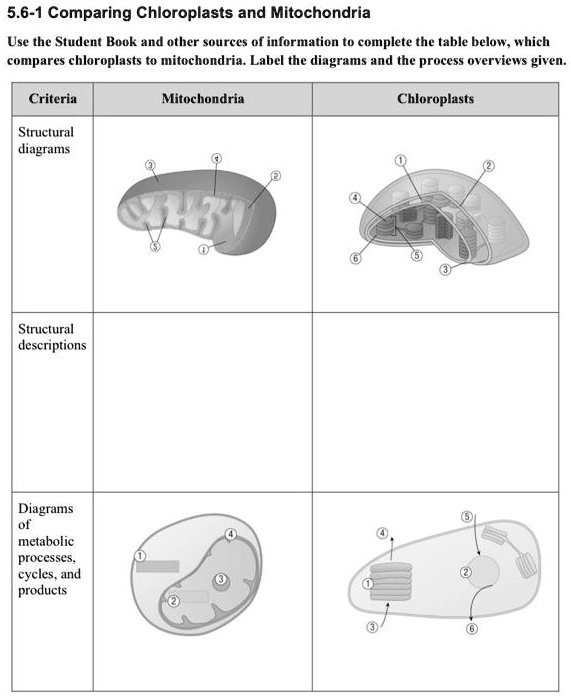 5.6-1 Comparing Chloroplasts and Mitochondria Use the Student Book and ...