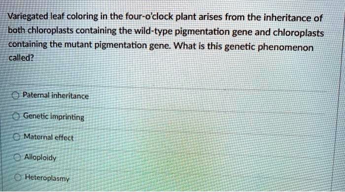 [GET ANSWER] variegated leaf coloring in the four oclock plant arises ...