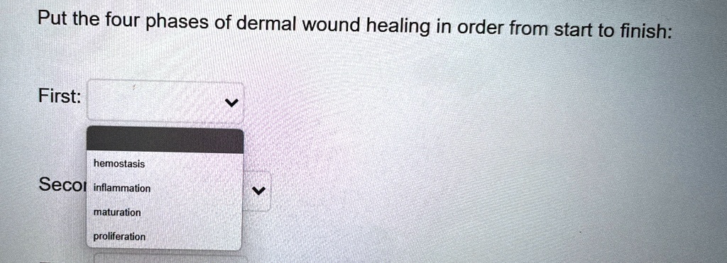 put the four phases of dermal wound healing in order from start to ...