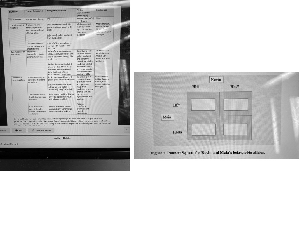 SOLVED: Refer to the family pedigree chart and the hemoglobinopathy ...