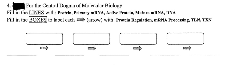 4. For the Central Dogma of Molecular Biology: Fill in the LINES with ...