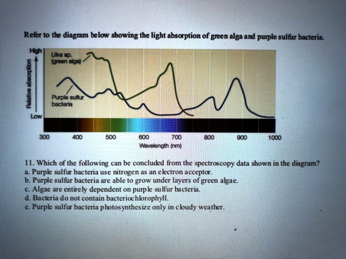 SOLVED: Refer to the diagram below showing the light absorption of ...